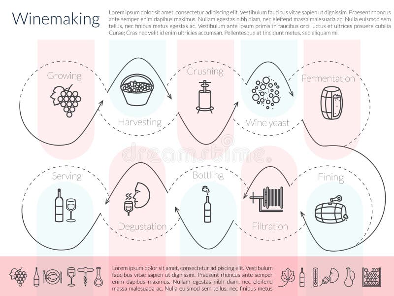 Ligne Vinification Infographic Illustration de Vecteur - Illustration du effectué, illustration ...