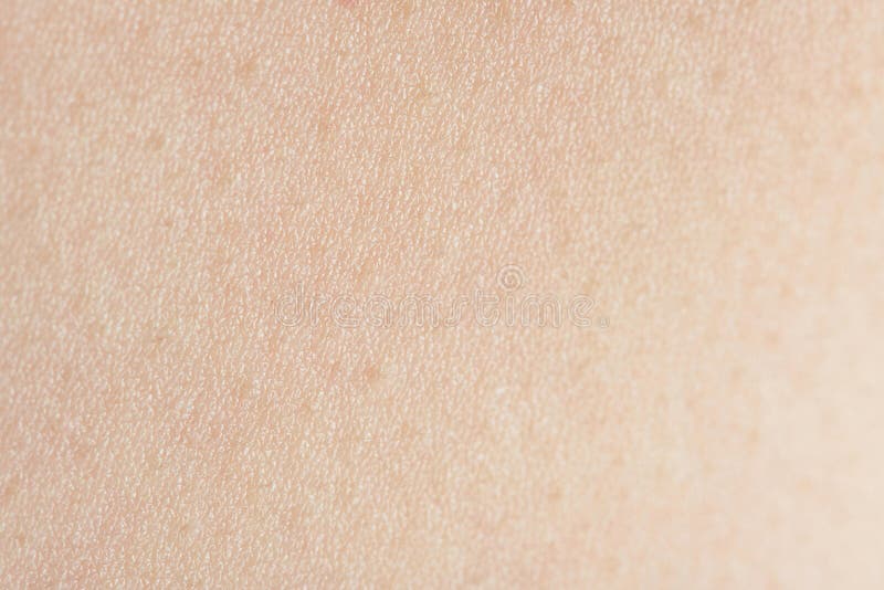 Ligth clean human skin stock photo. Image of detailed - 78658546