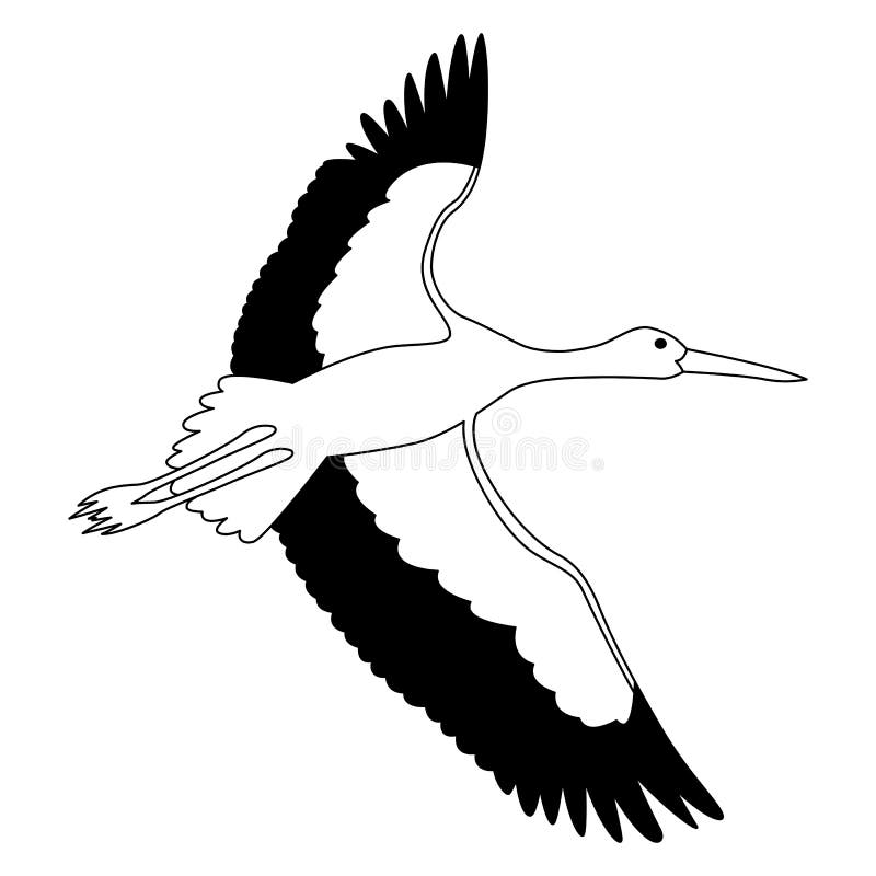 Ooievaar Vector tekening vector illustratie. Illustration of reiger ...