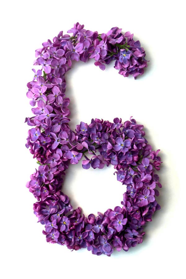 Lilac alphabet stock photo. Image of color, plant, style - 154503866