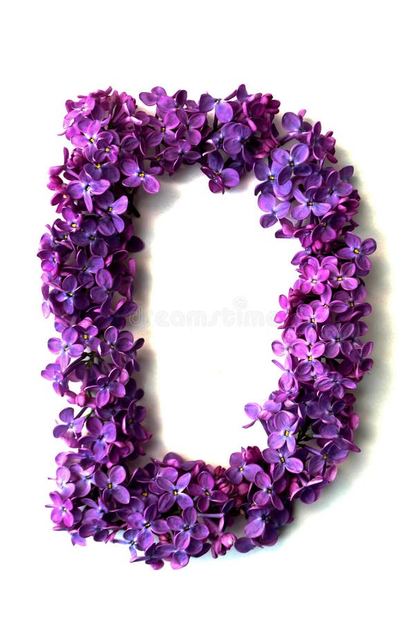 Lilac alphabet stock image. Image of lilac, flower, petal - 154504473