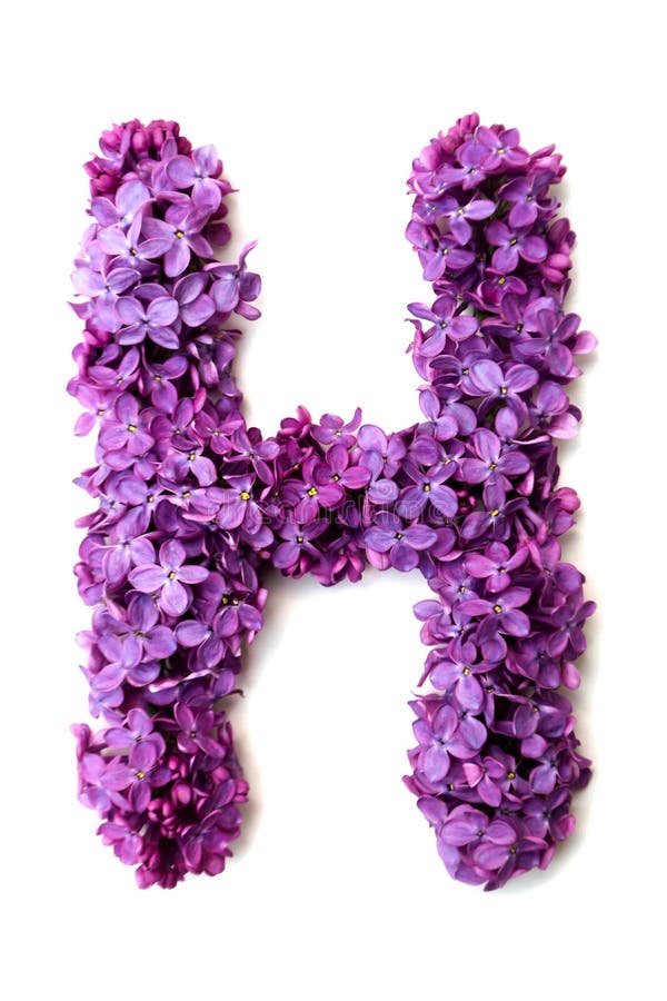 Lilac alphabet stock image. Image of lilac, sign, petal - 154503951