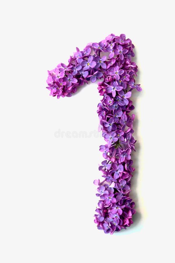 Lilac alphabet stock image. Image of floral, color, petal - 154504097