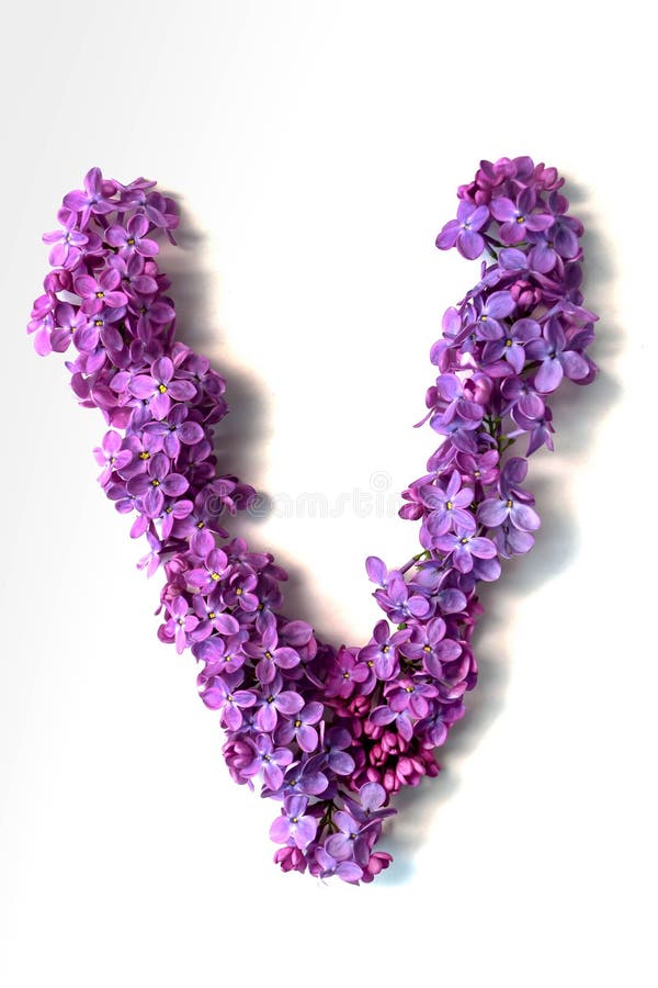 Lilac alphabet stock photo. Image of flowers, symbol - 154504190