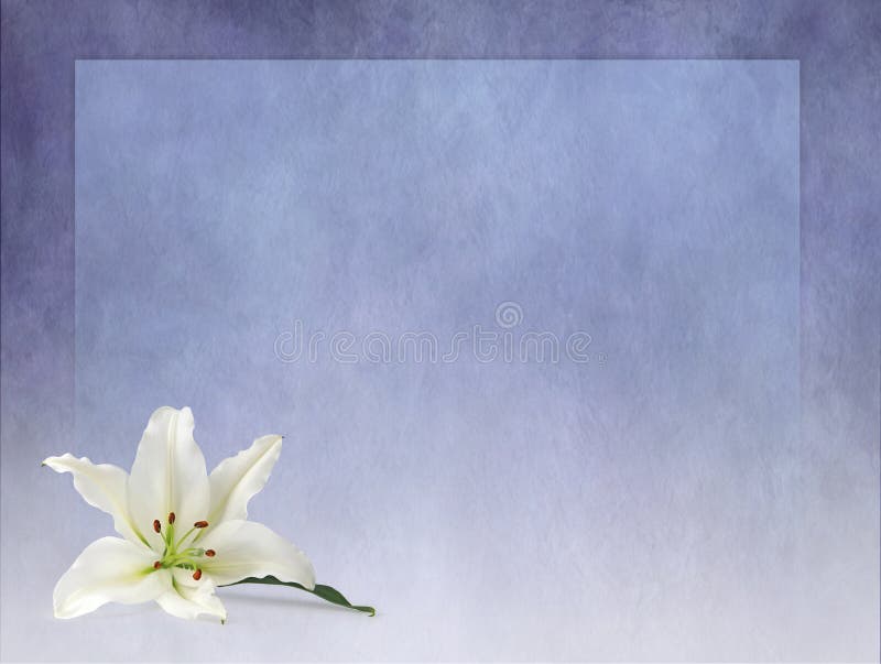 Lilac Blue Funeral Wake Order of Service Lily Background Template Stock ...