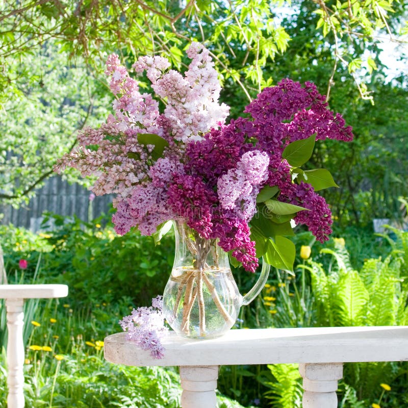 Lilac bouquet stock photo. Image of bouquet, leaf, spring - 12709542