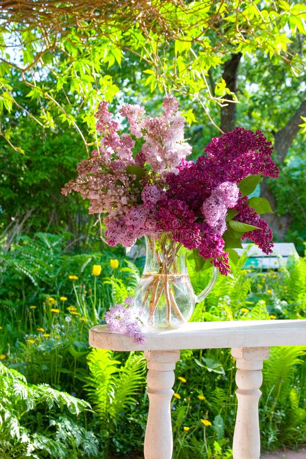 Lilac bouquet stock photo. Image of beautiful, lilac - 12980974