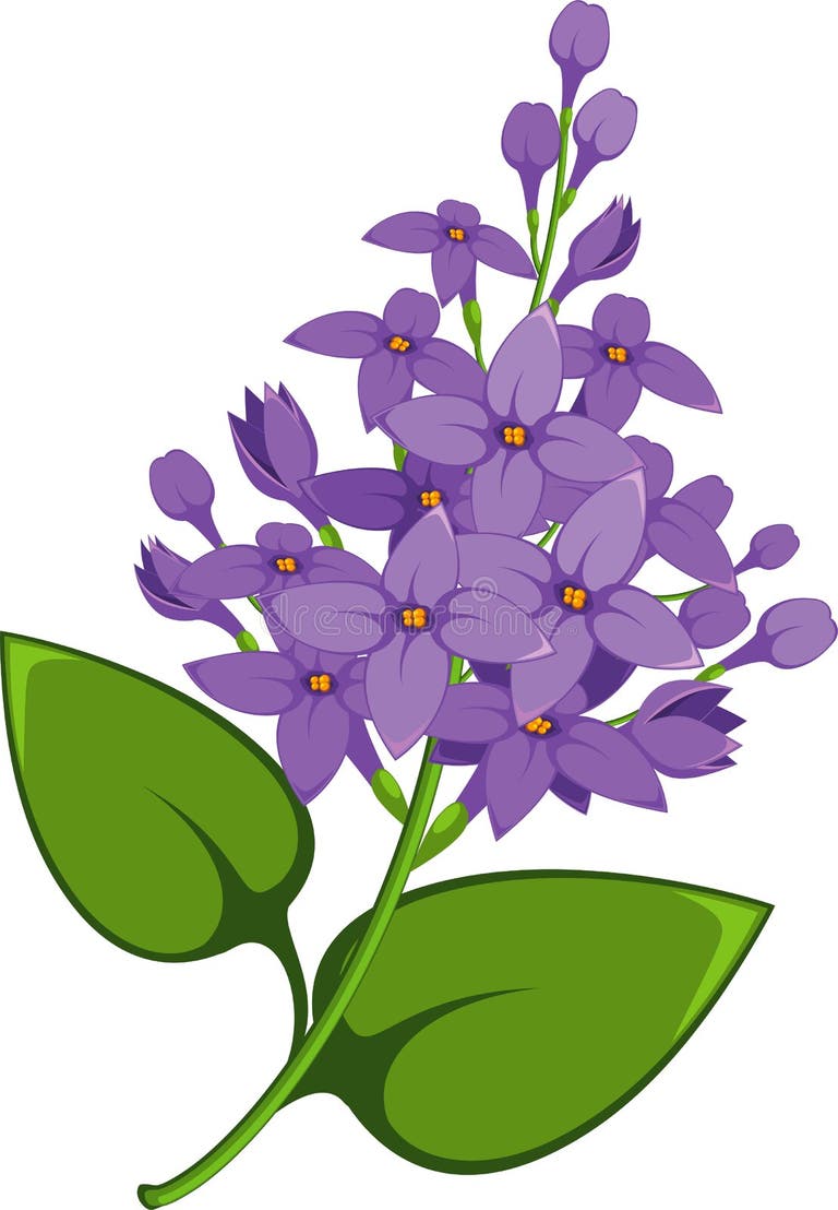 Lilac Bush Stock Illustrations – 6,263 Lilac Bush Stock Illustrations ...