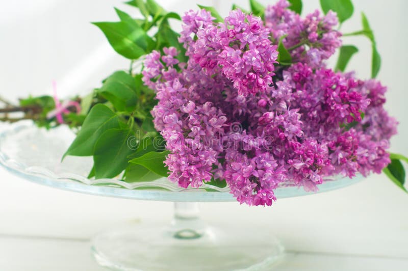 Lilac stock photo. Image of bunch, flower, spring, flowers - 41417276