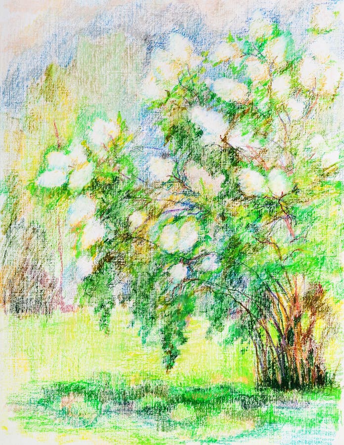 Lilac bush stock illustration. Illustration of seamless - 28539651