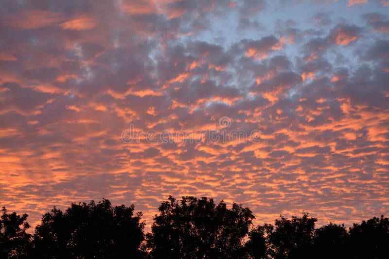 Lilac Coloured Clouds at Sunset Stock Photo - Image of blue, trees ...