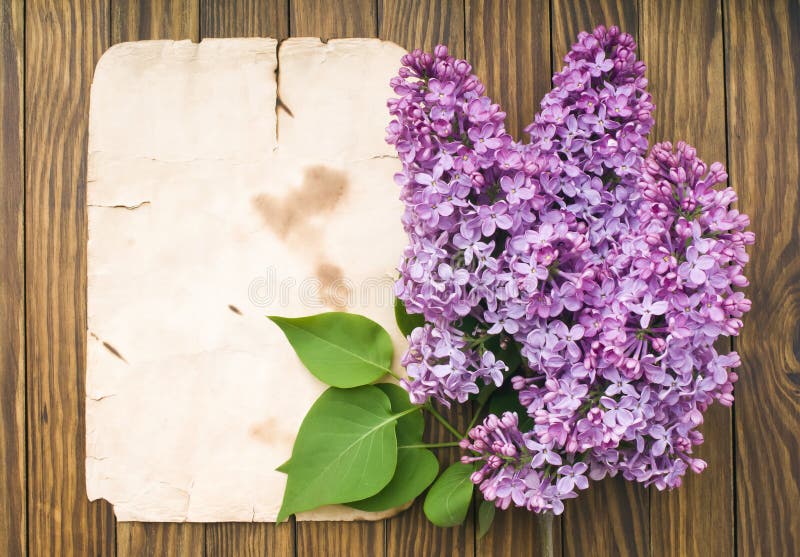 Lilac Flowers Branch with Sample Text Stock Photo - Image of decoration ...
