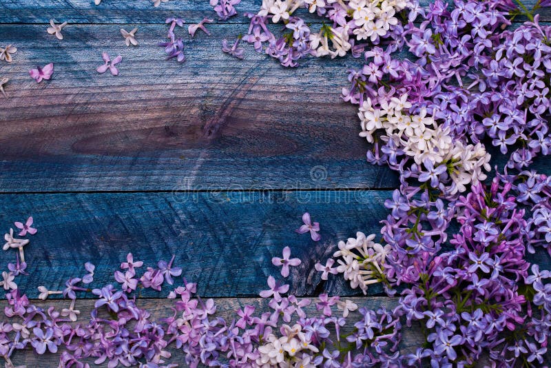 Lilac Flowers Decorative Frame Stock Photo - Image of blue, frame: 73324636