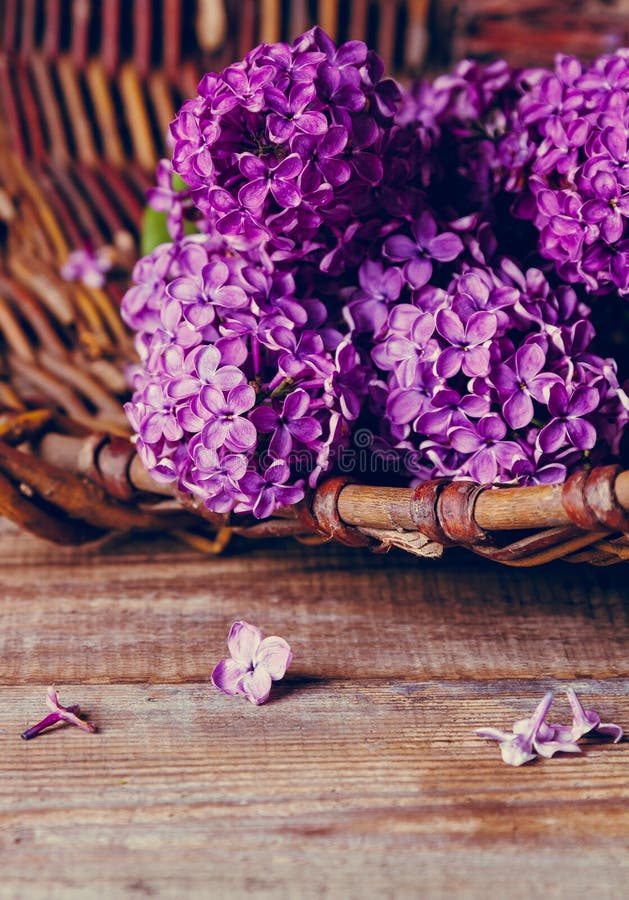 Lilac flowers on a table stock photo. Image of pattern - 72612534