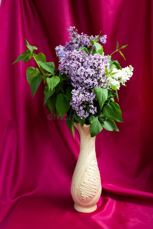 Lilac Flowers in a Vase on a Red Background Stock Image - Image of ...