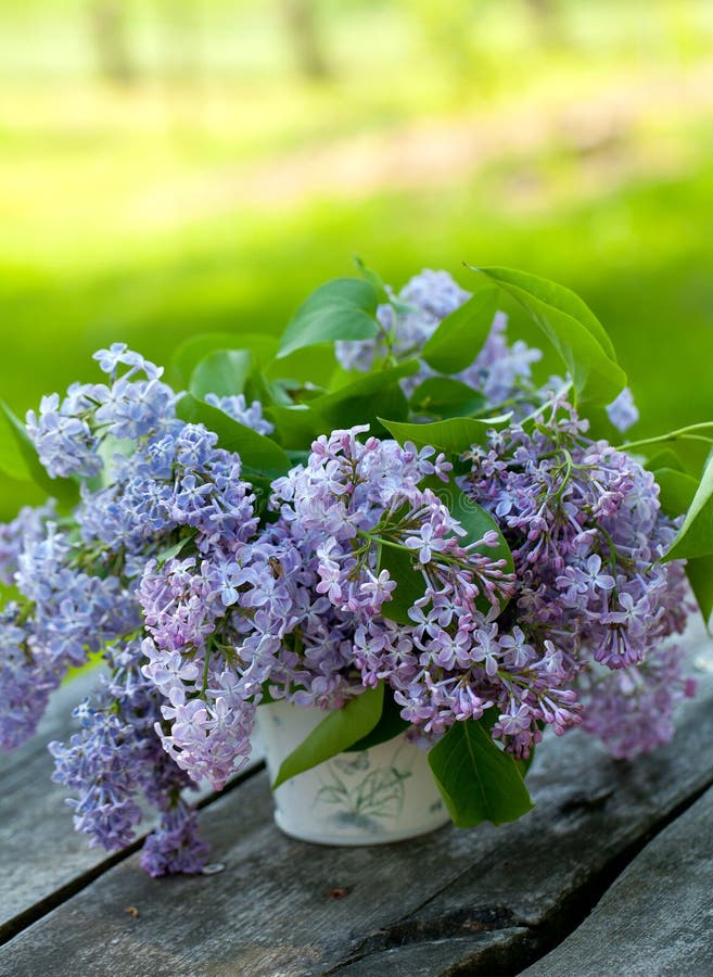 Lilac Flowers on Wooden Table Stock Photo - Image of steps, beautiful ...