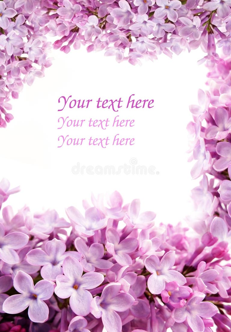 27,684 Lilac Frame Stock Photos - Free & Royalty-Free Stock Photos from ...
