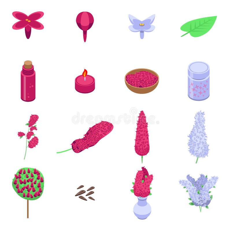 Lilac Icons Set, Isometric Style Stock Vector - Illustration of ...