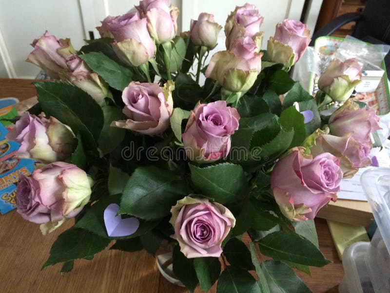 Lilac roses in vase stock image. Image of lavender, table - 48641657