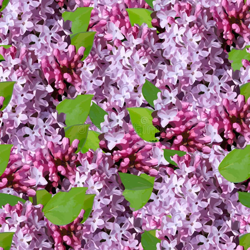 Lilac Seamless Pattern. Vector Stock Illustration Eps10. Stock Vector ...