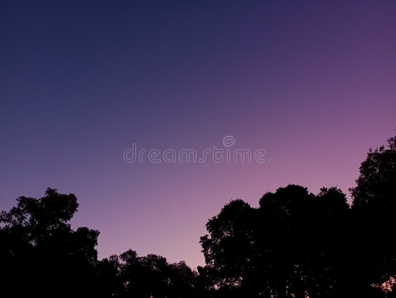 Lilac Sky with Silhouette of Trees Stock Photo - Image of afterglow ...