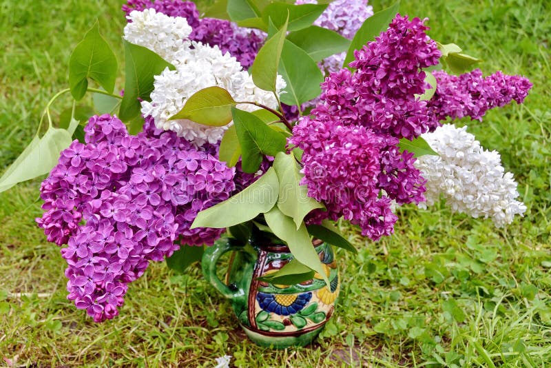 Lilac Spring Flowers Bouquet Stock Photo - Image of gift, floral: 226212582