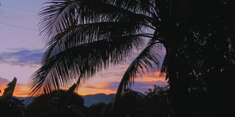 Lilac Sunset Sky stock image. Image of light, lilac - 225384645