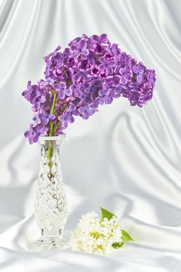 Lilac and vase stock image. Image of bouquet, flower - 72066345