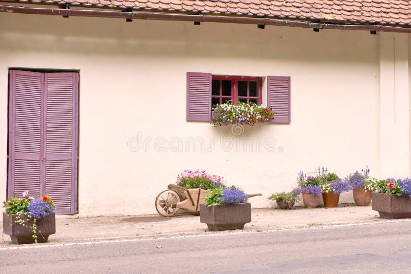 Purple shutters stock photo. Image of facade, lilac - 229646176