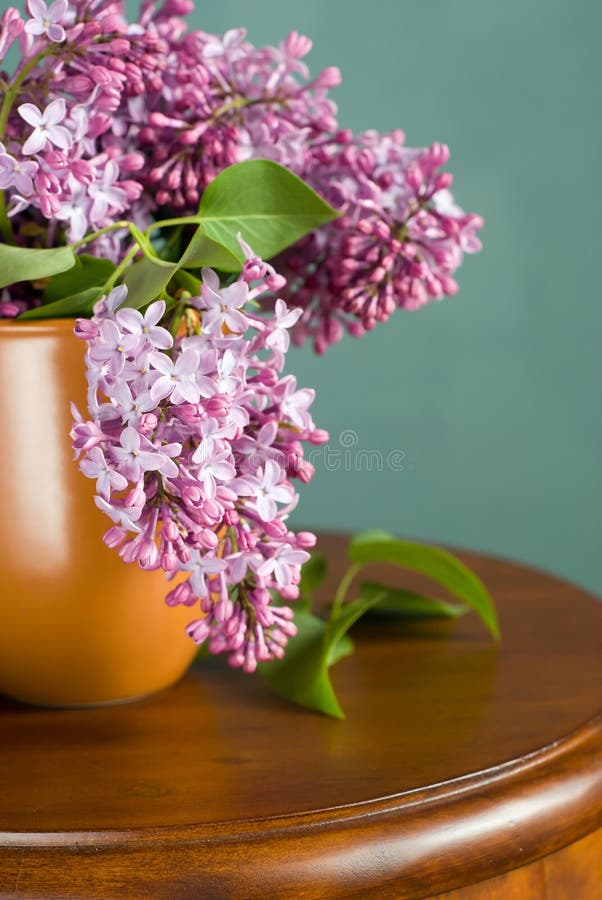 Lilacs stock photo. Image of arrangement, life, wood - 14355112