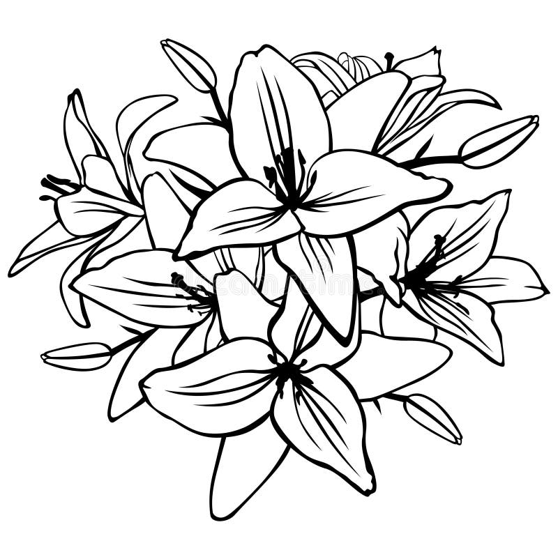 Lilies flower bouquet stock vector. Illustration of leaf - 57908060