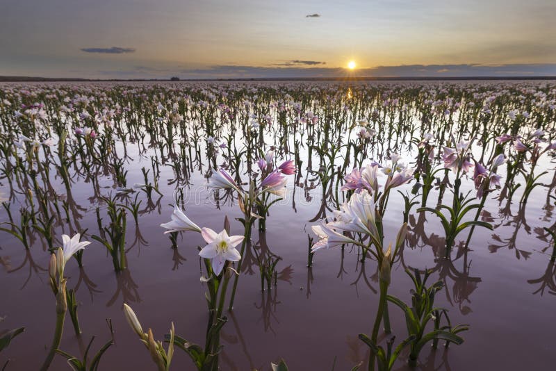 Farm Sandhof Stock Photos - Free & Royalty-Free Stock Photos from ...