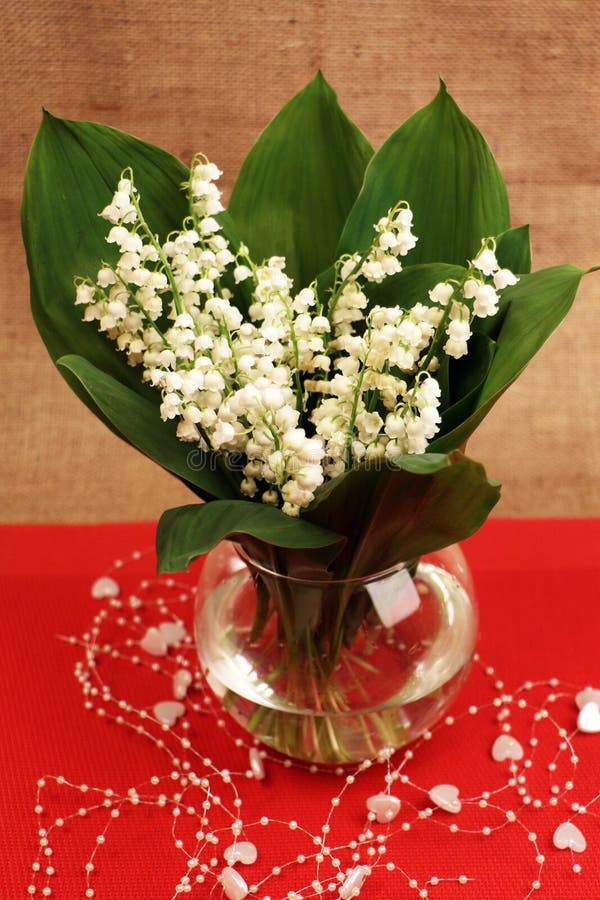 Liljekonvalj vas fotografering för bildbyråer. Bild av fjäder - 90747519