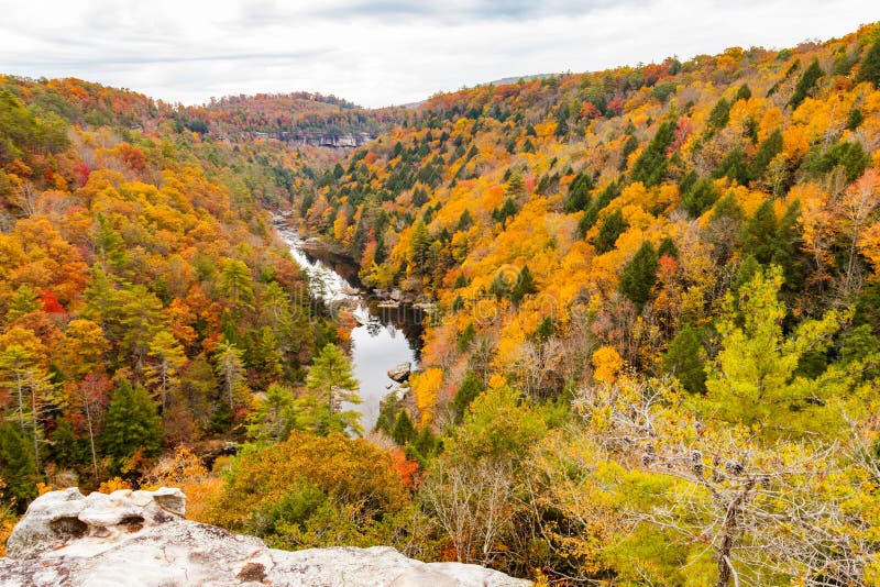 Lilly Bluff Overlook at Obed Stock Image - Image of overlook, bluff ...