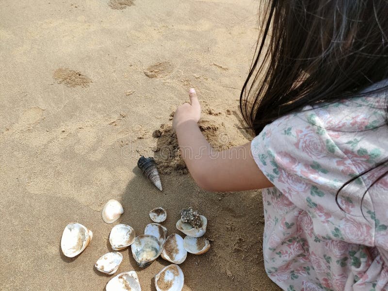 The Lilttle Girl Collecting the Shell Stock Photo - Image of collecting ...