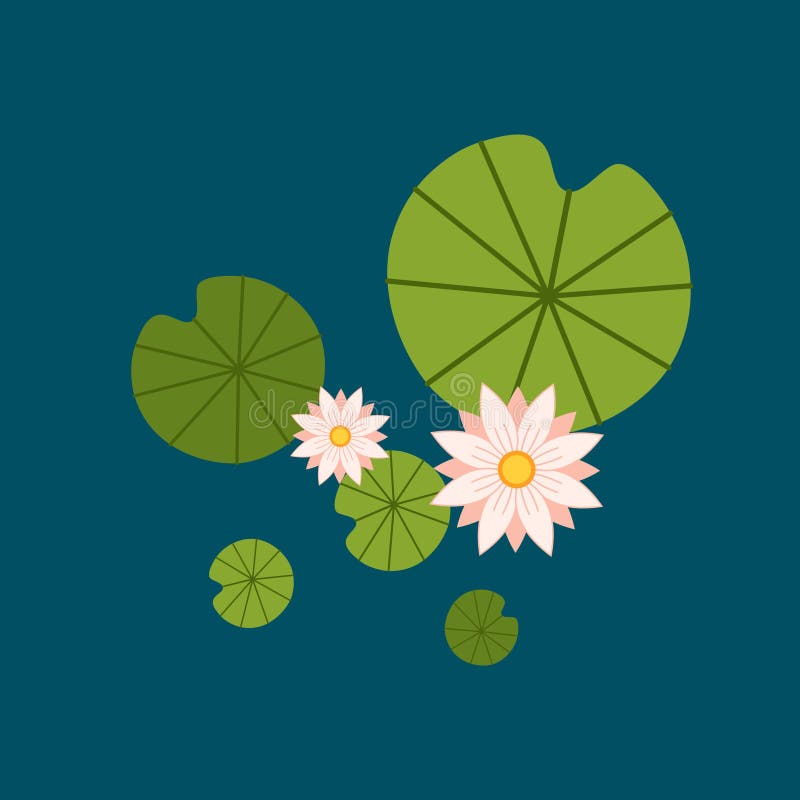 Lily pad vector. Lily pad. stock vector. Illustration of element ...
