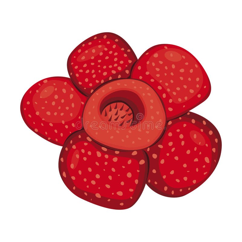 Rafflesia Stock Illustrations – 606 Rafflesia Stock Illustrations ...