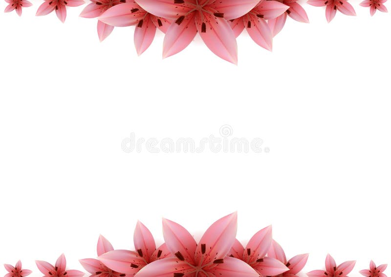Lily Banner illustration de vecteur. Illustration of décoration - 48769530