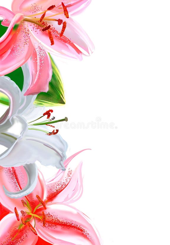 Lily Border Stock Illustrations – 12,544 Lily Border Stock ...