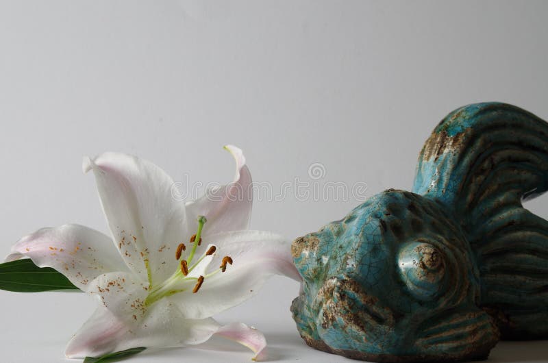 Lily and fish stock photo. Image of flower, budha, close - 49445134