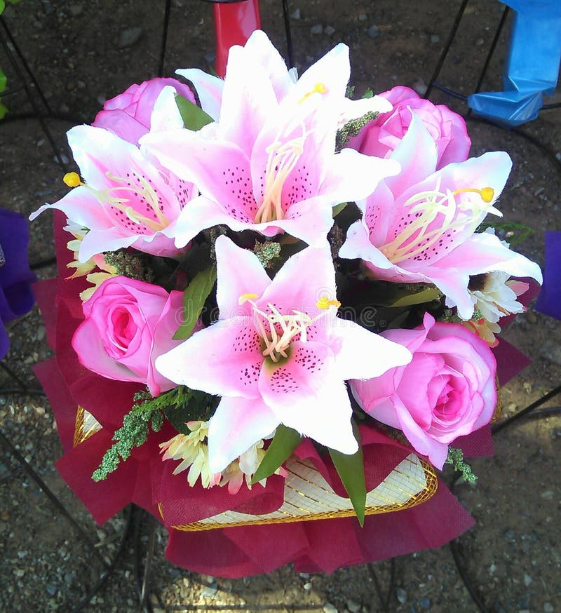 Lily flower stock photo. Image of nature, flower, beautiful - 49109180