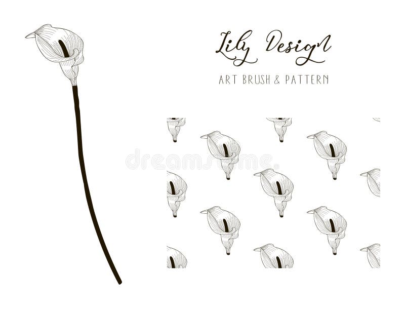 Flexible Doodle Pattern Stock Illustrations – 362 Flexible Doodle ...