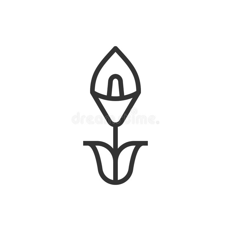 Lily Flower Icon Line Vector Illustration Stock Vector - Illustration ...
