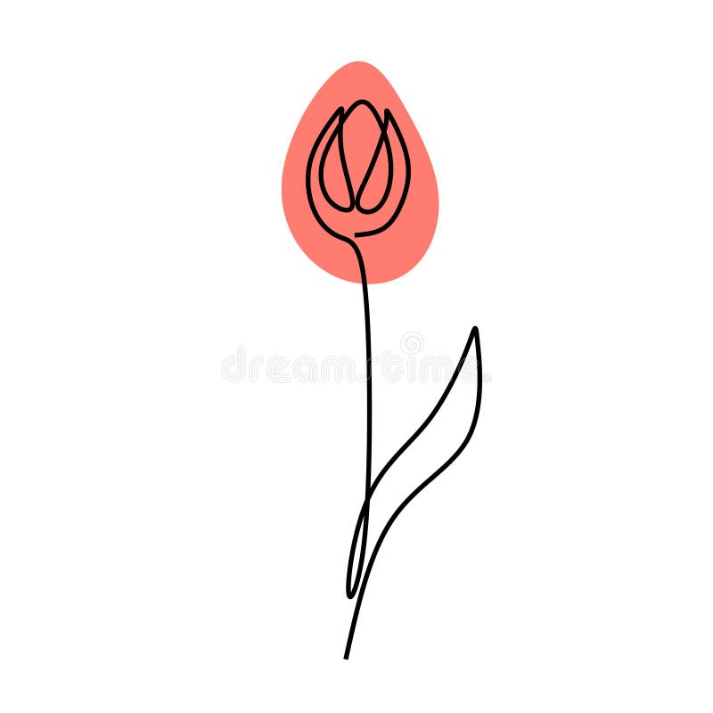 Carnation Flower One Line Contour Drawing Vector Stock Vector ...