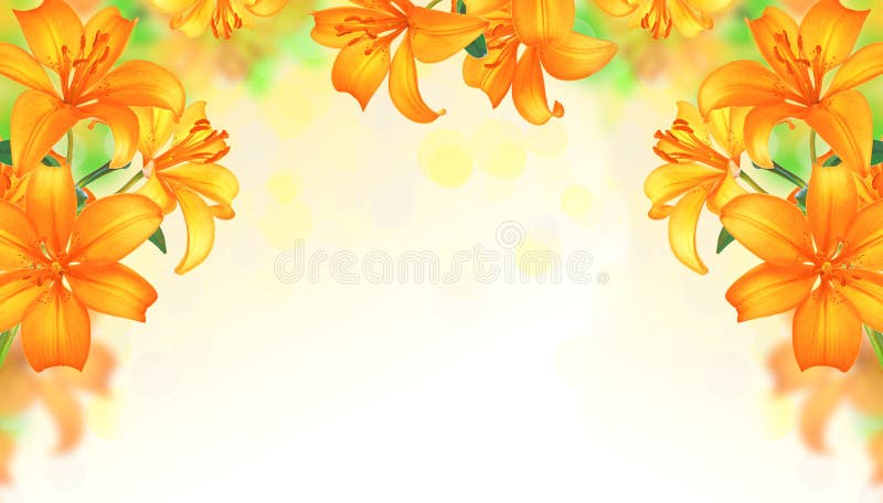 Orange Flowers Border