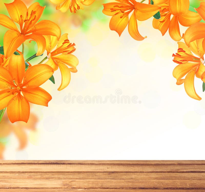 Lily Flowers Border Design. Stock Photo - Image of color, bloom: 39552766