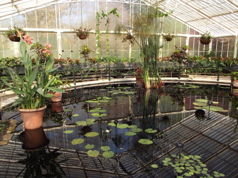 Lily House stock photo. Image of lily, plants, greenhouse - 90684420