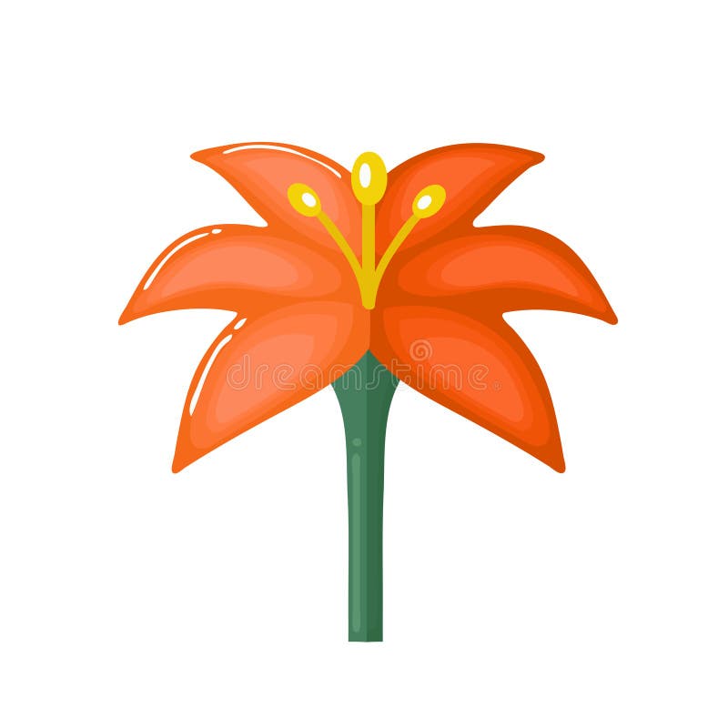 Lily Icon Clipart Logotype Isolated Vector Illustration Stock Vector ...