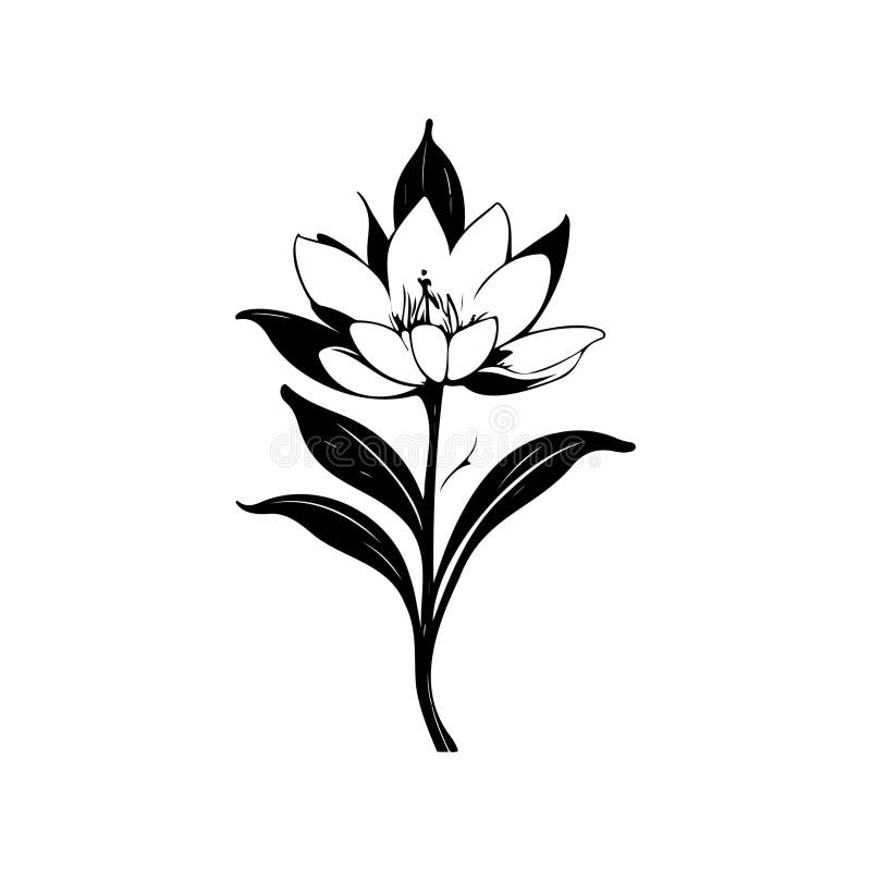 Lily Icon Hand Draw Black Flower Logo Symbol Perfect Stock Vector ...