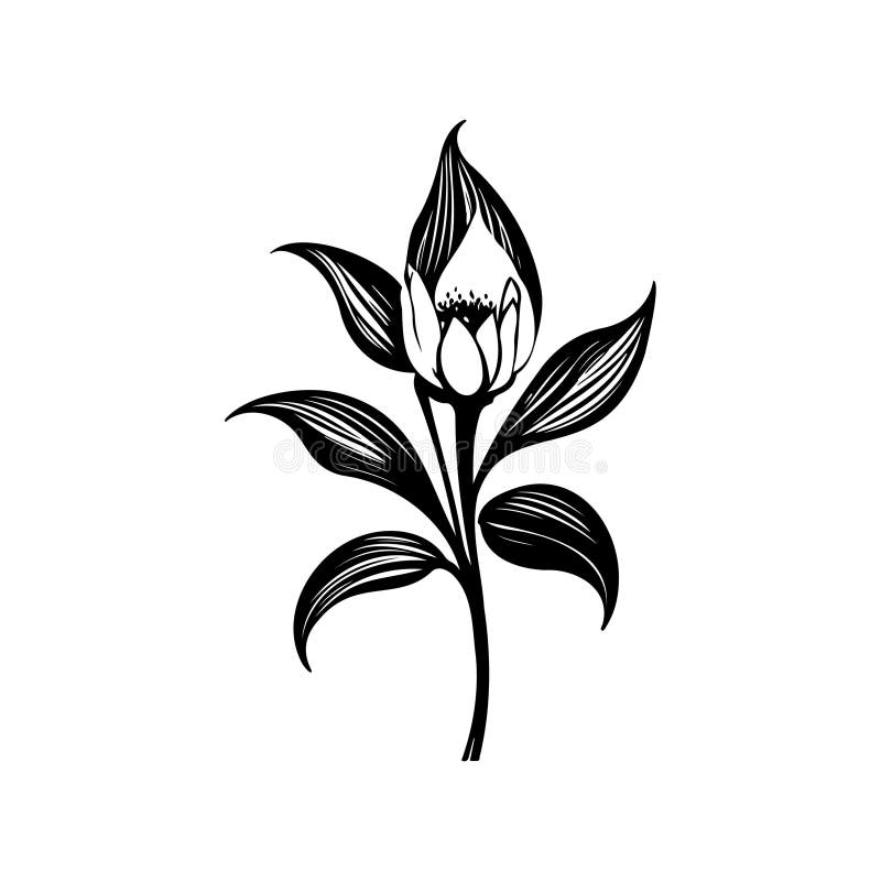 Lily Icon Hand Draw Black Flower Logo Symbol Perfect Stock Vector ...
